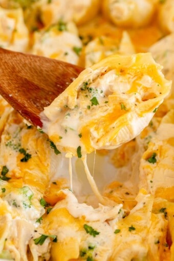 Chicken Alfredo Stuffed Shells (with Broccoli) - Kylee Cooks