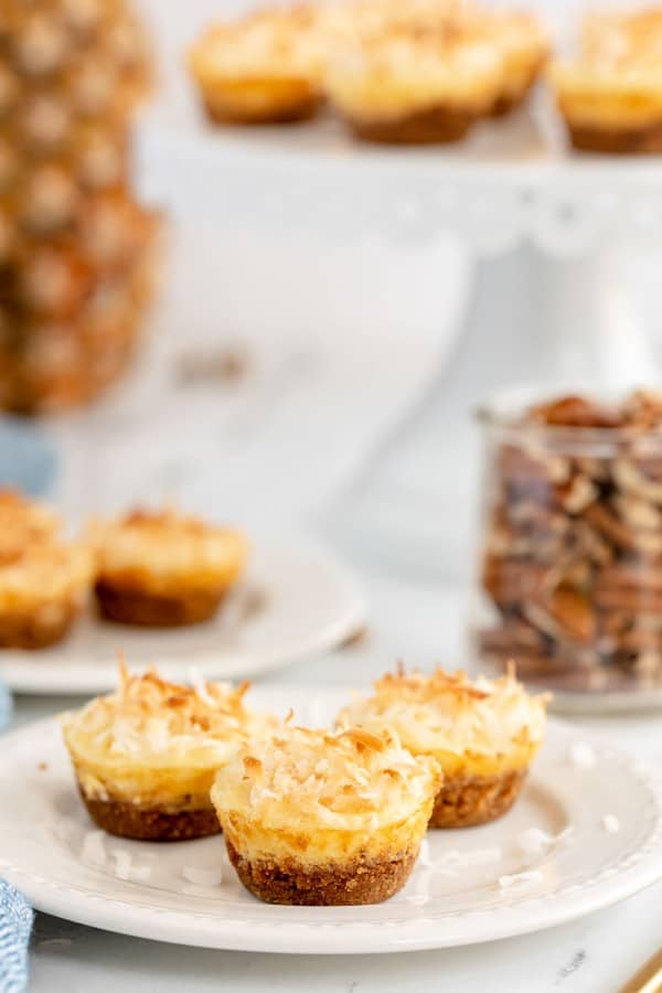 Coconut Pineapple Cheesecake (Minis) - Kylee Cooks