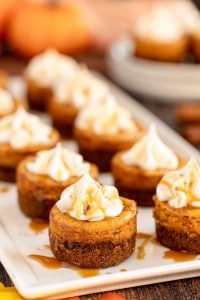 Mini Pumpkin Cheesecakes (with Gingersnap Crust) - Kylee Cooks