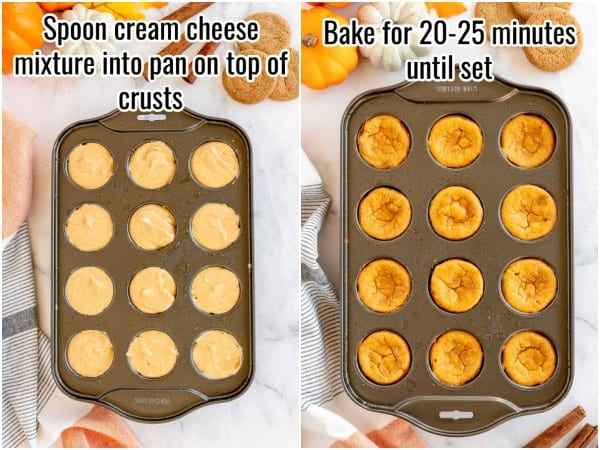 Mini Pumpkin Cheesecakes (with Gingersnap Crust) - Kylee Cooks