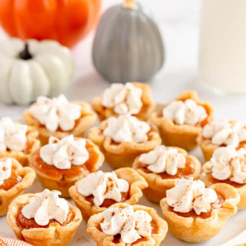 Mini Pumpkin Cheesecakes With Gingersnap Crust - Kylee Cooks
