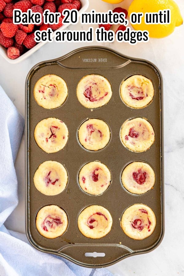 Lemon Mini Cheesecakes with Berry Swirl - Kylee Cooks