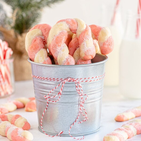 Candy Cane Cookies (Fun Holiday Baking!) - Kylee Cooks