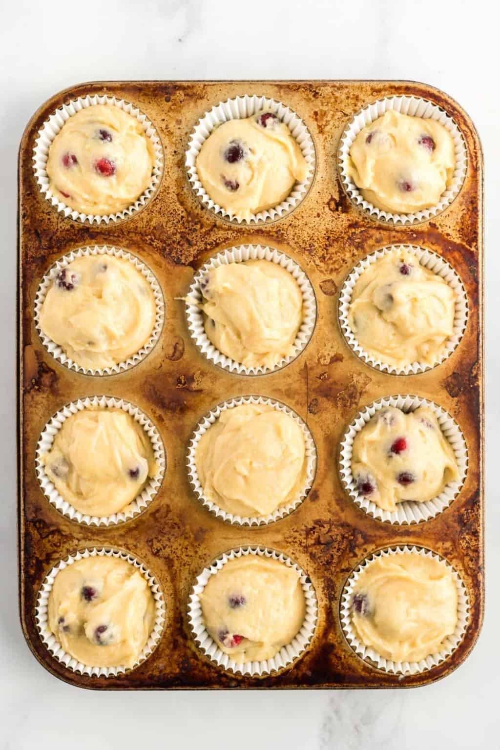 Bakery Style Fresh Cranberry Muffins - Kylee Cooks