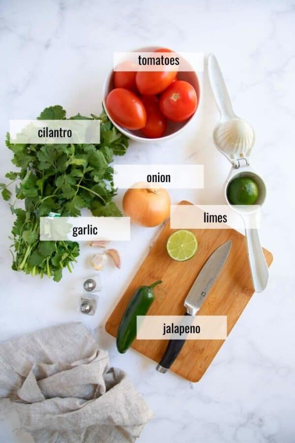 Pico de Gallo (Salsa Fresca) - Kylee Cooks