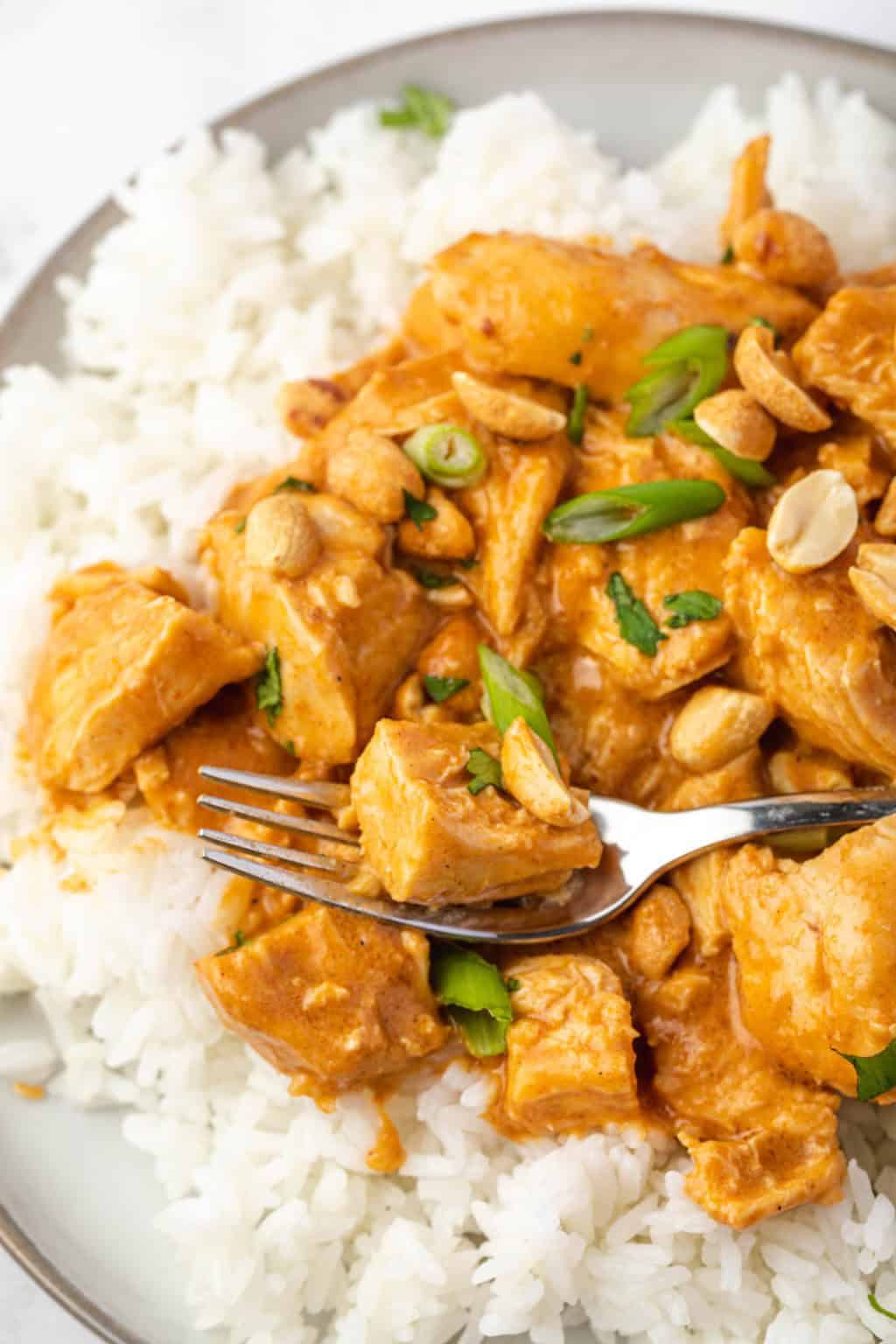 Slow Cooker Chicken Curry - Kylee Cooks
