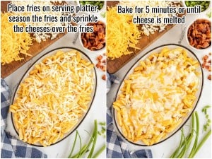 Loaded Fries (Cheese Fries) - Kylee Cooks