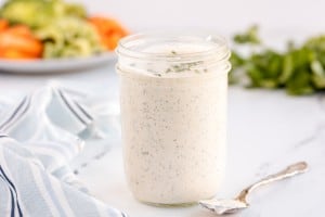 Homemade Ranch Dip Recipe (from scratch!) - Kylee Cooks
