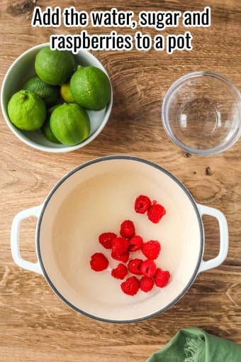 Raspberry Limeade - Kylee Cooks