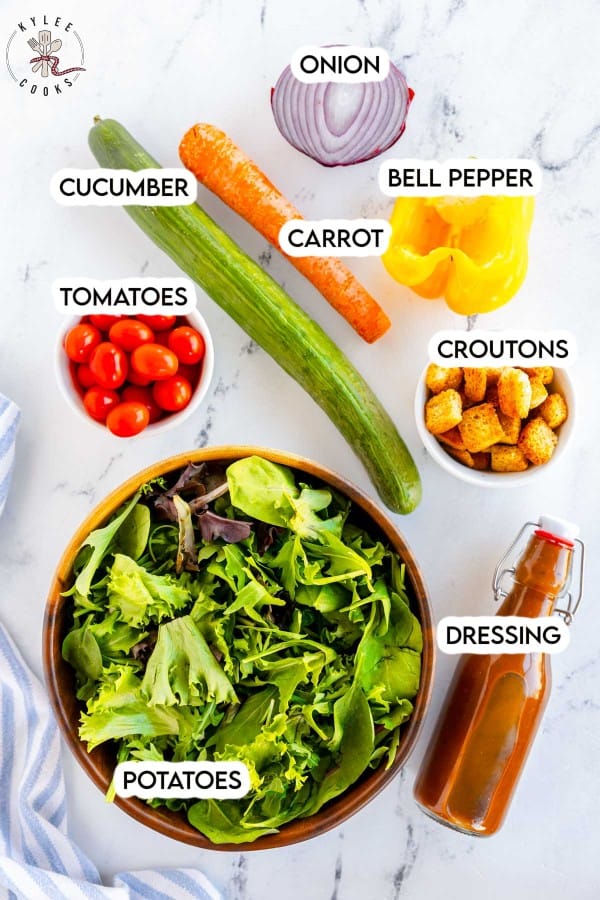 Easy Garden Salad Recipe (House Salad) - Kylee Cooks