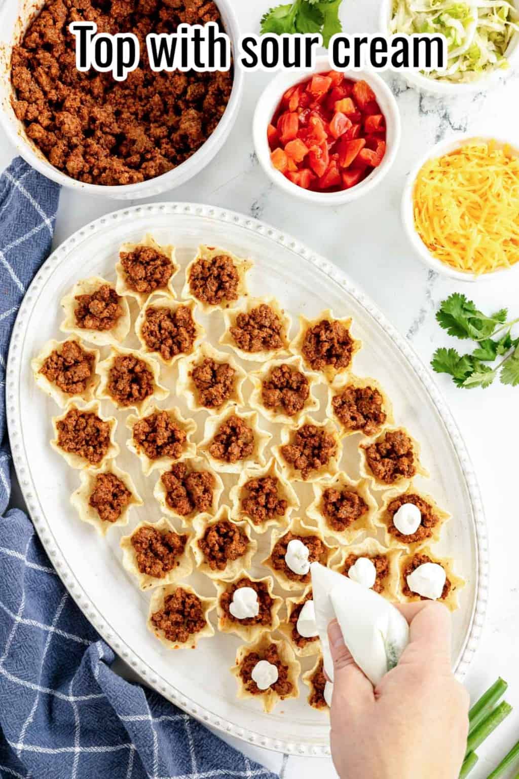 Mini Taco Bites Recipe - Kylee Cooks