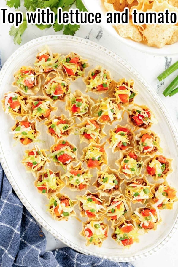 Mini Taco Bites Recipe - Kylee Cooks