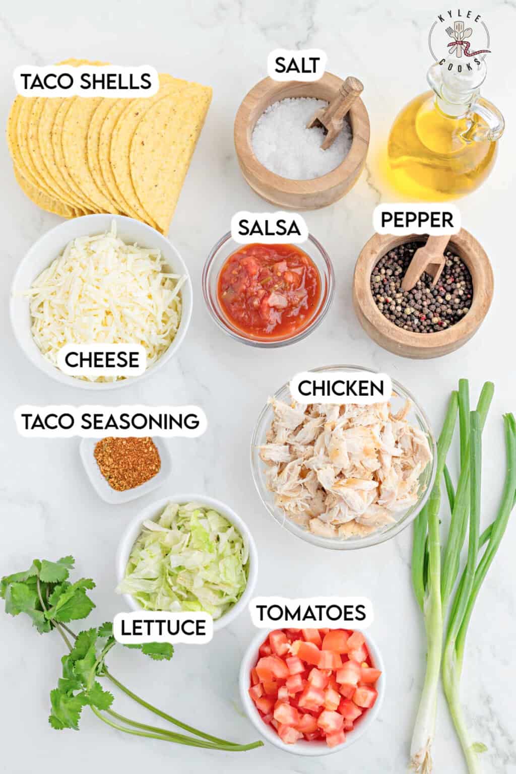 Baked Chicken Tacos - Kylee Cooks