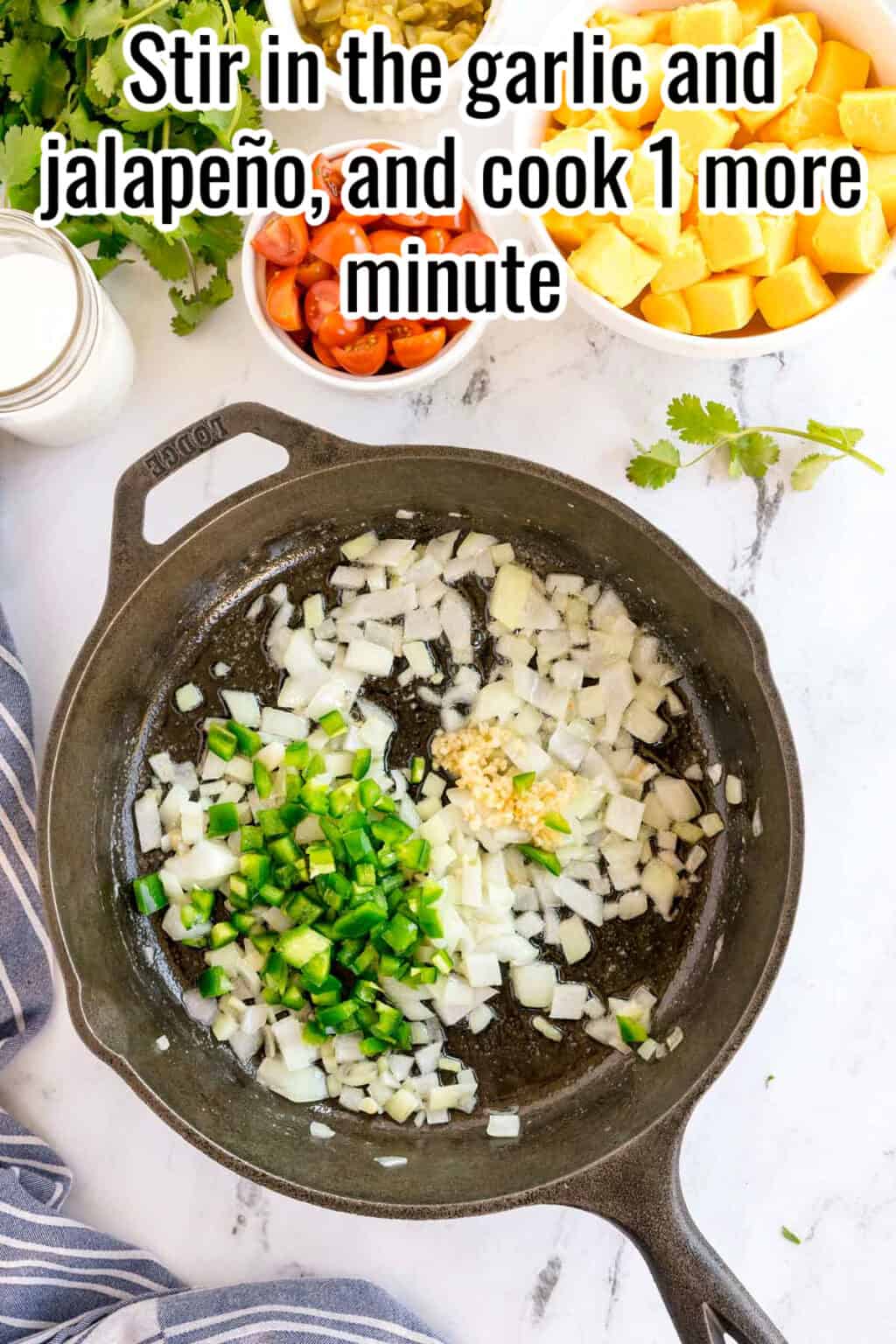 Easy Queso Dip Recipe (with Velveeta) - Kylee Cooks