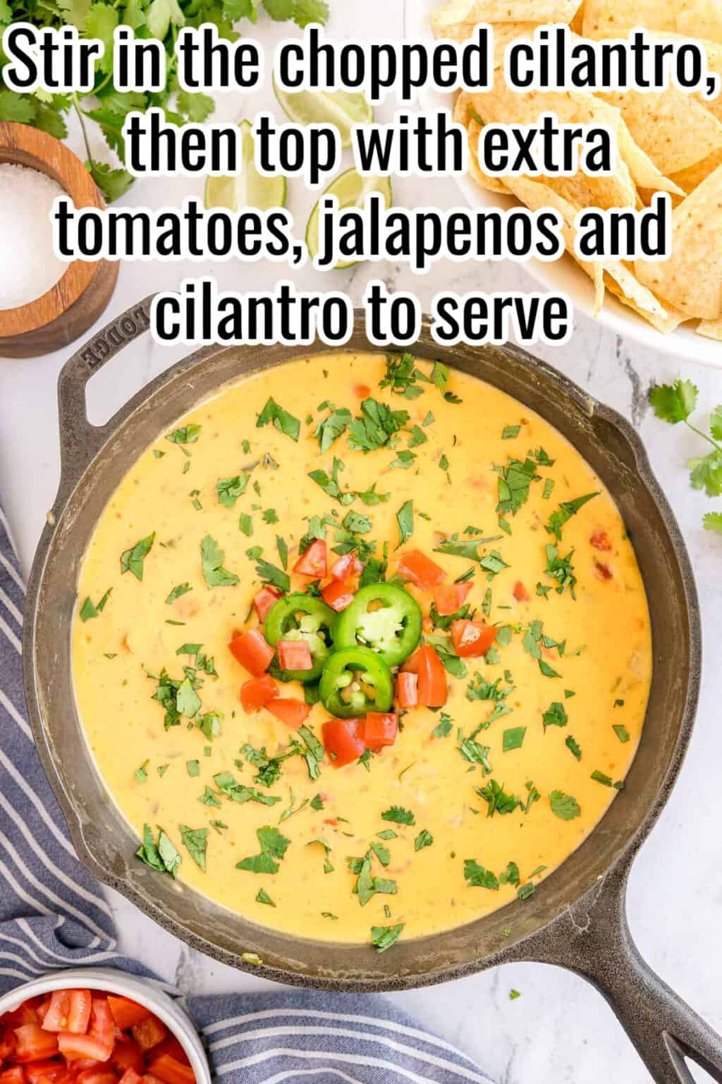 Easy Queso Dip Recipe (with Velveeta) - Kylee Cooks